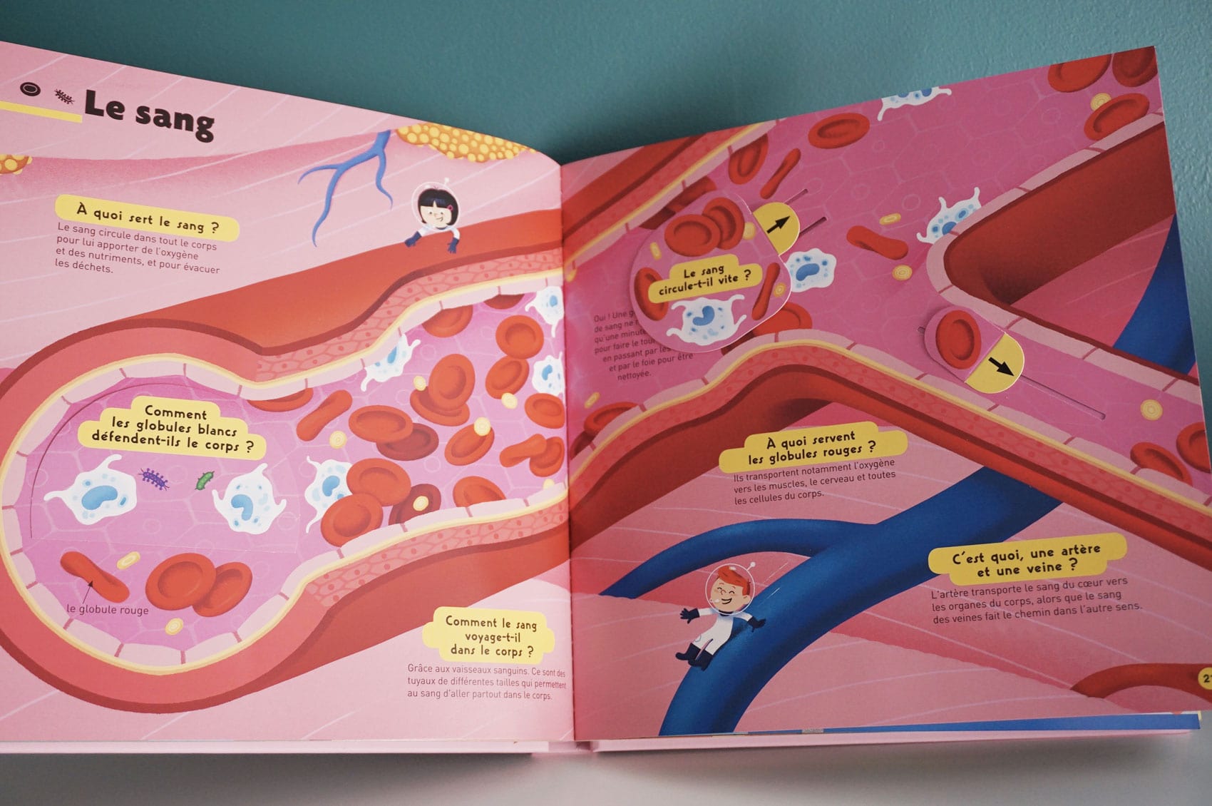 Bibliothèque jeunesse : Livres enfant dès 4 ans - Blog maman